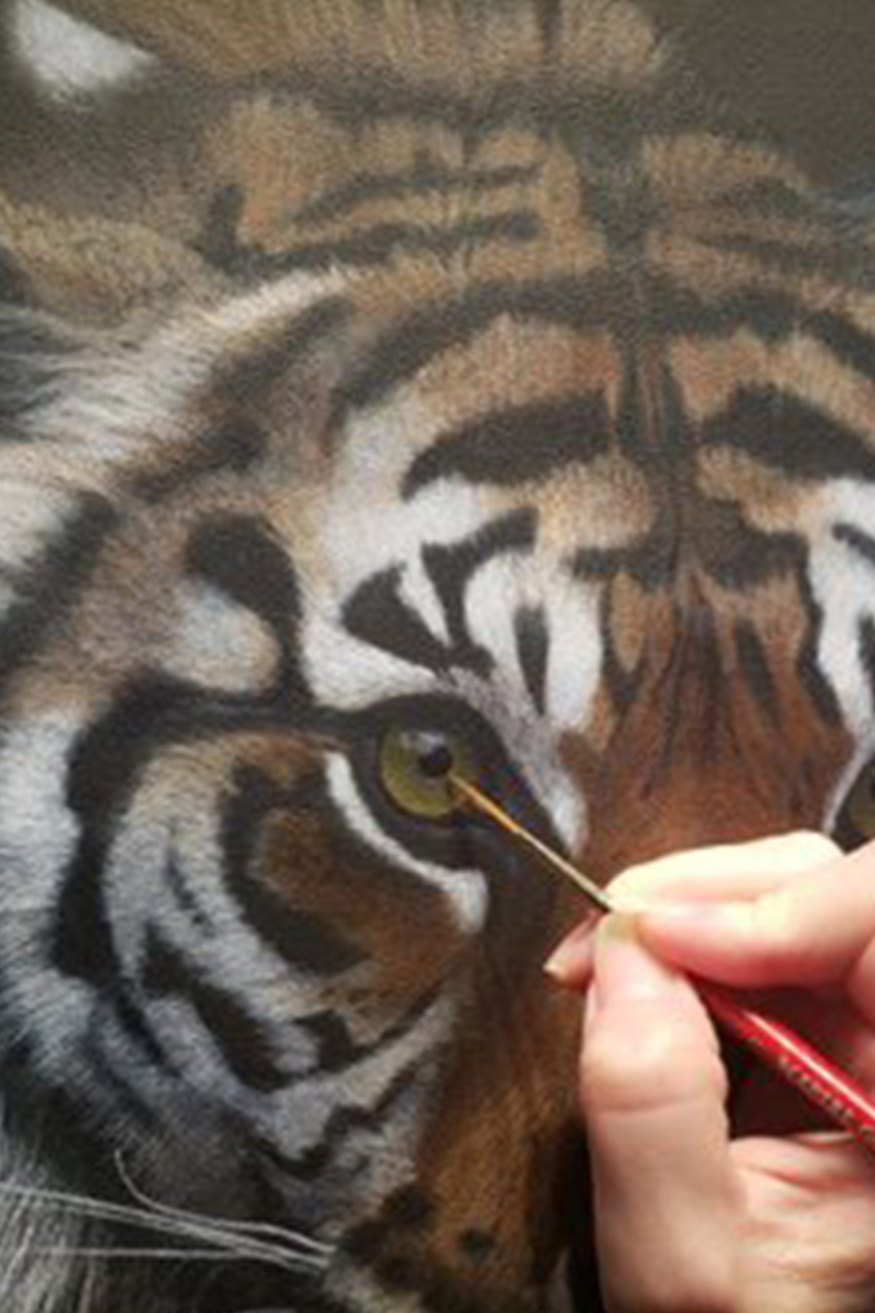 Office Culture - VOSH